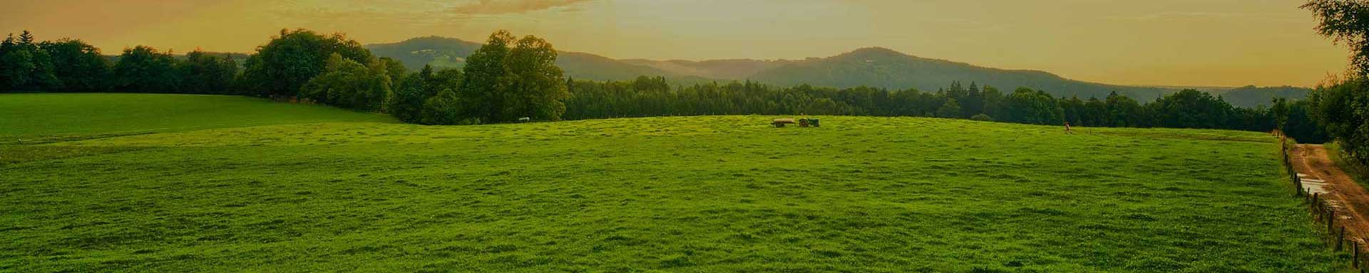 Land-Top-Banner | UCAS